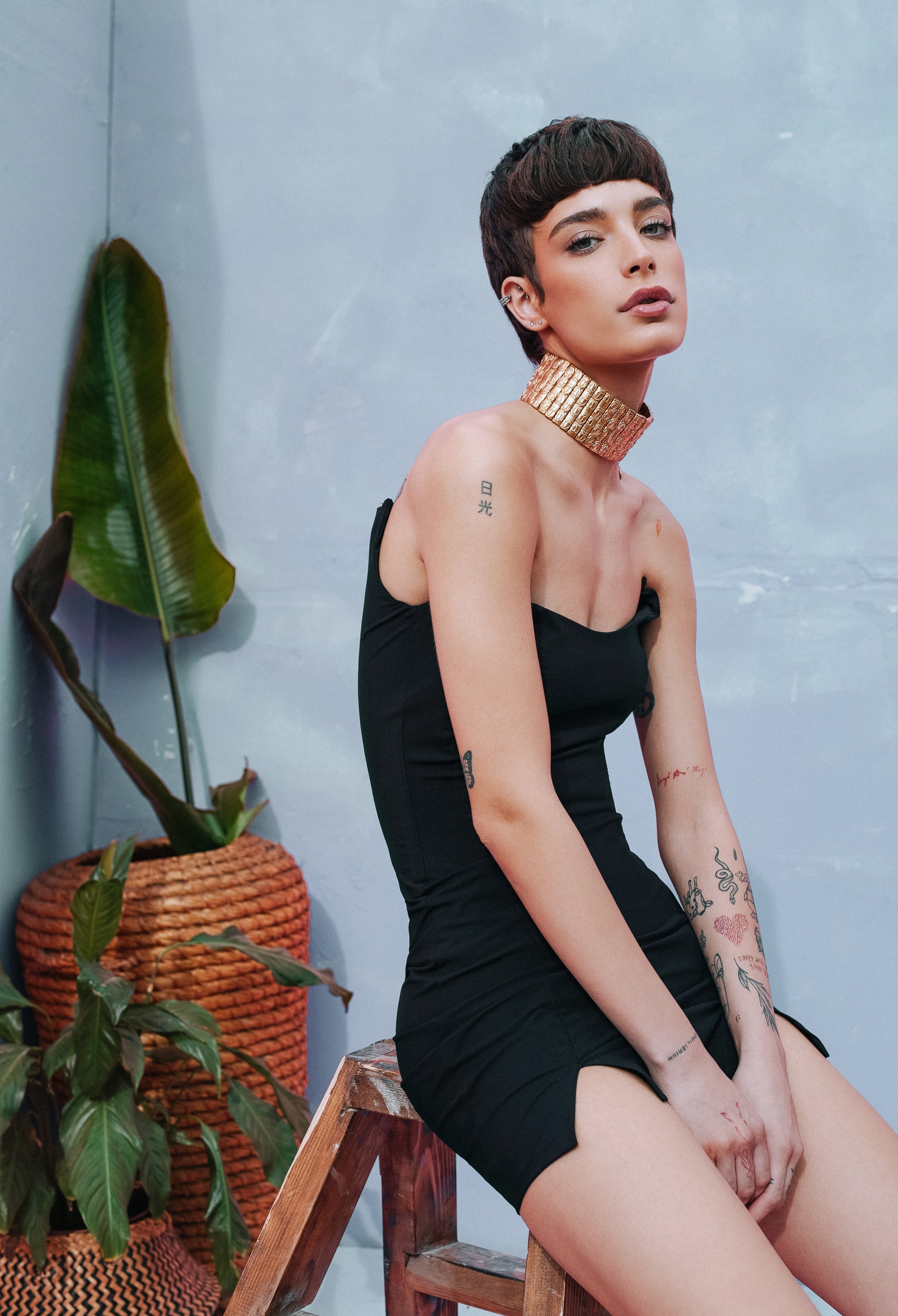 Studio Collection – Bransoa